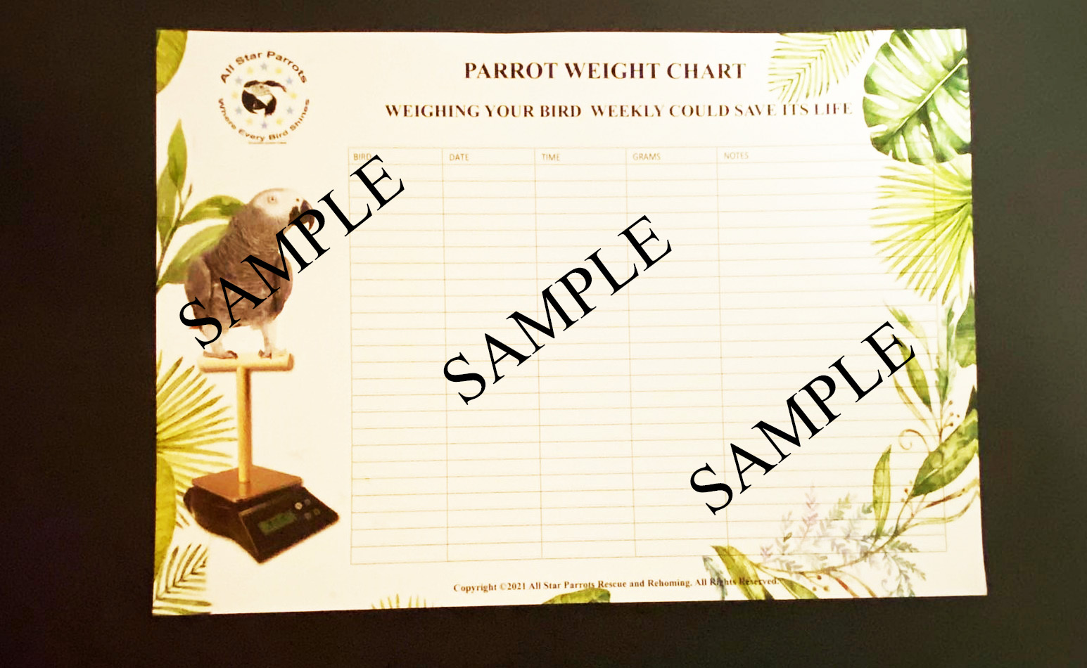 Parrot weight chart 10pk - All Star Parrots